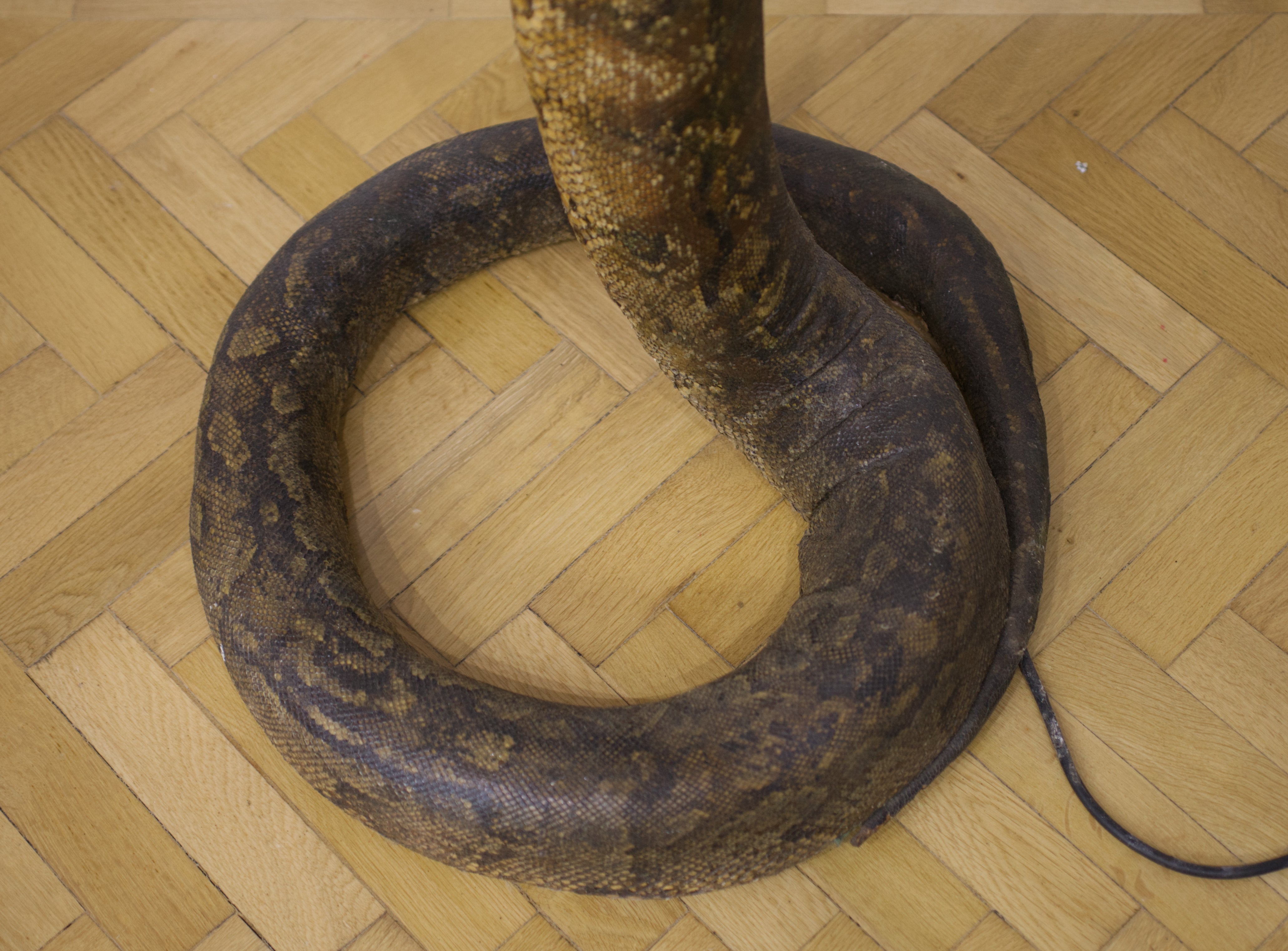 Victorian Twelve Foot Taxidermy African Rock Python Lamp Stand – Jason ...