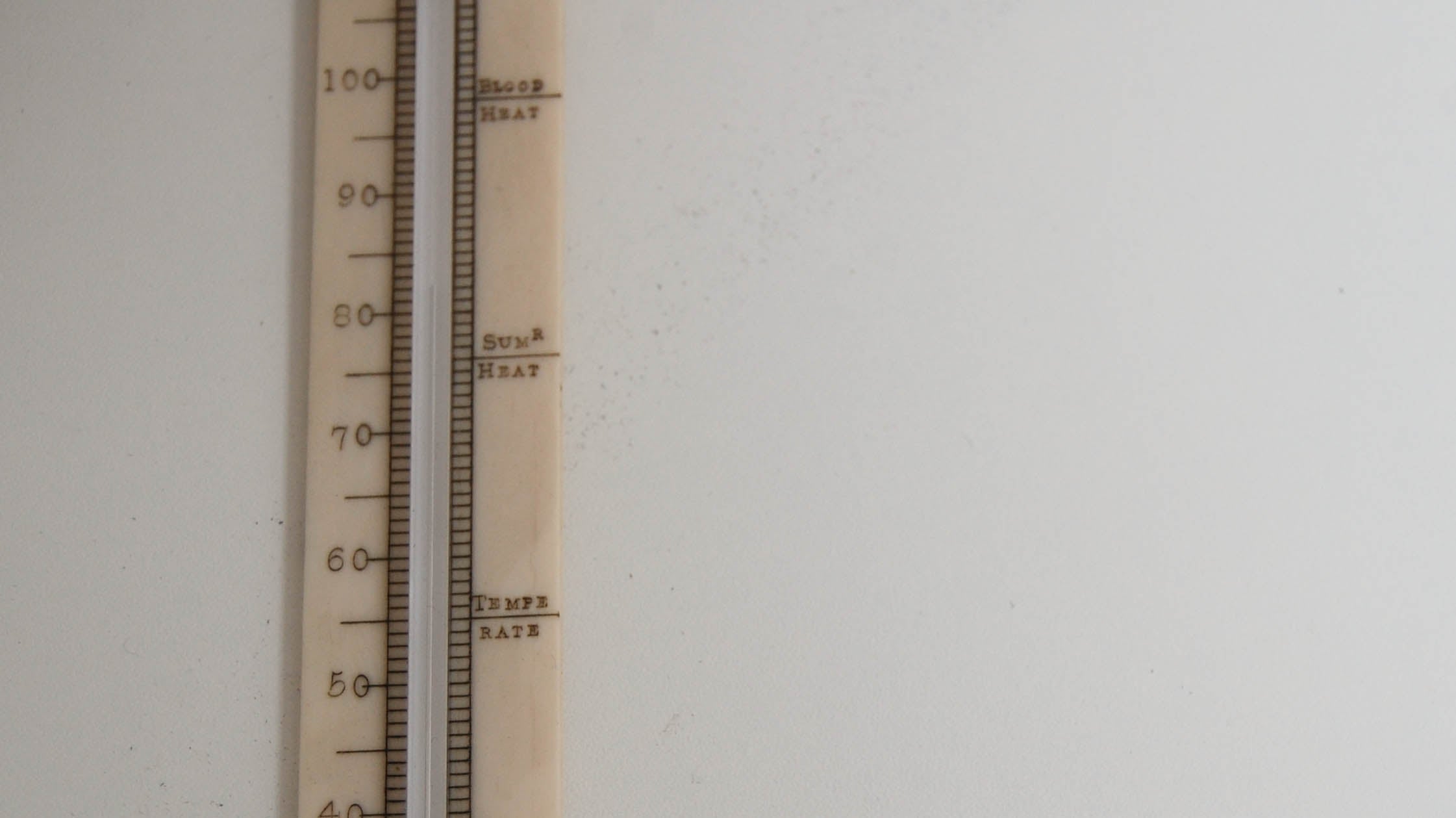 William IV Leather Cased Travelling Thermometer by Alexander Adie & Son ...